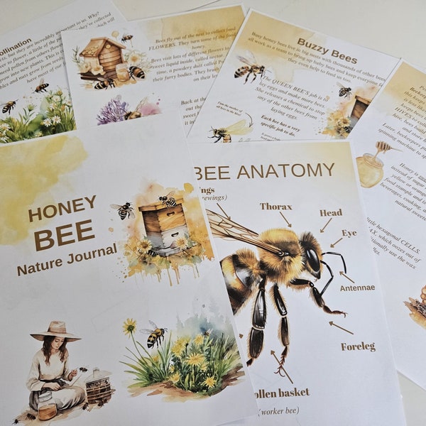 Honey Bee Unit - Etsy