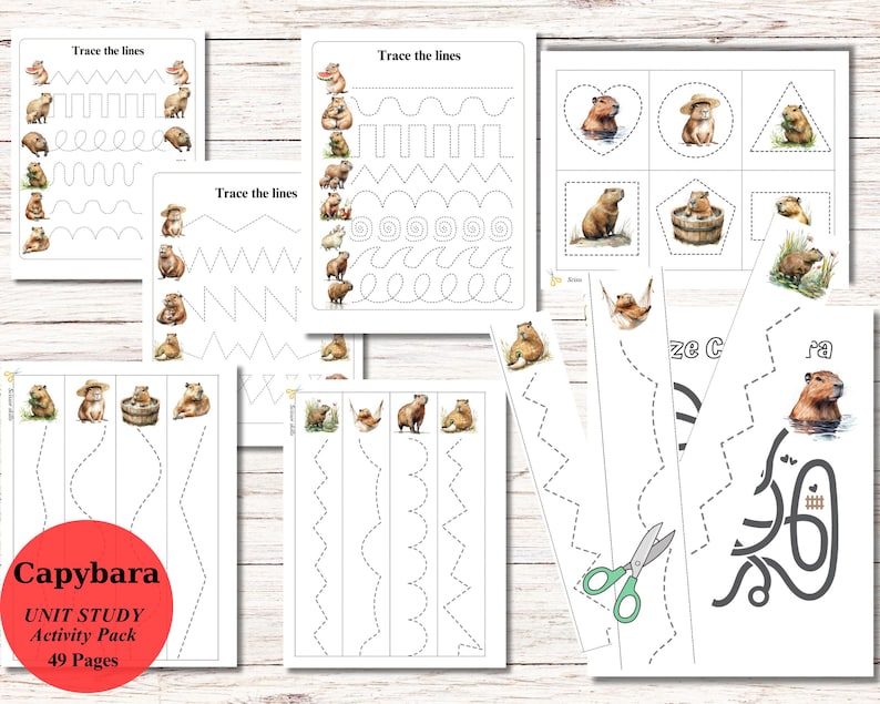 Capybara Unit Study and Activity Pack, Instant Download - Etsy
