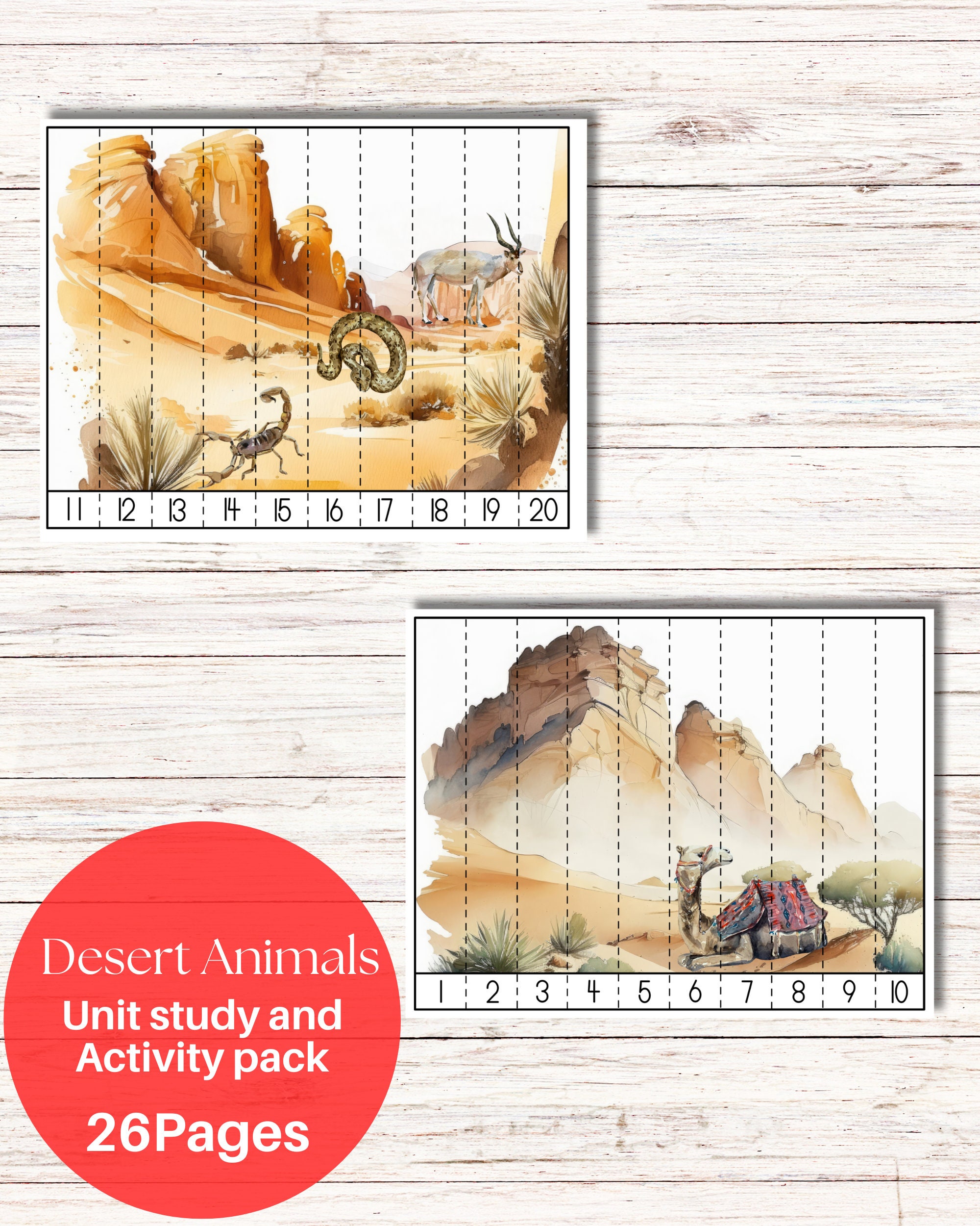 Desert Animals Unit Study, Desert Activities, Nature Journal - Etsy