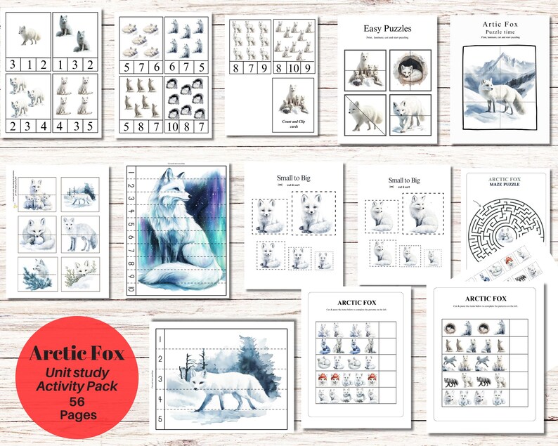 Arctic Fox Unit Study and Activity Pack, Arctic Animals Homeschool, 3 ...