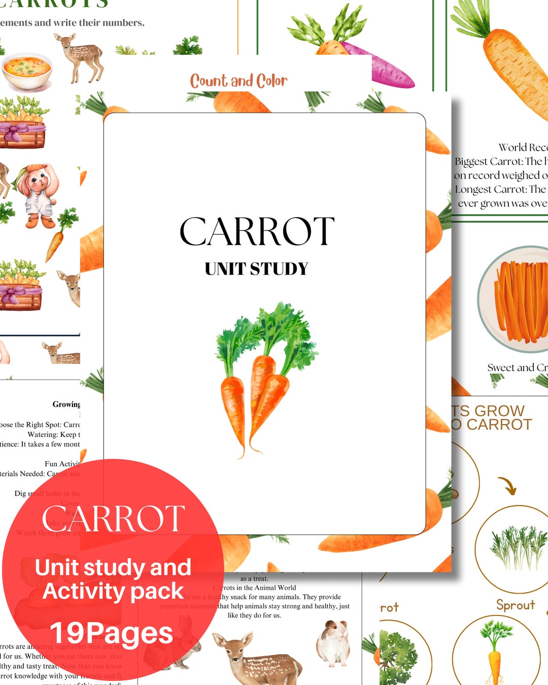 Carrot Unit Study, Vegetable Printable Activity, Nature Home School ...