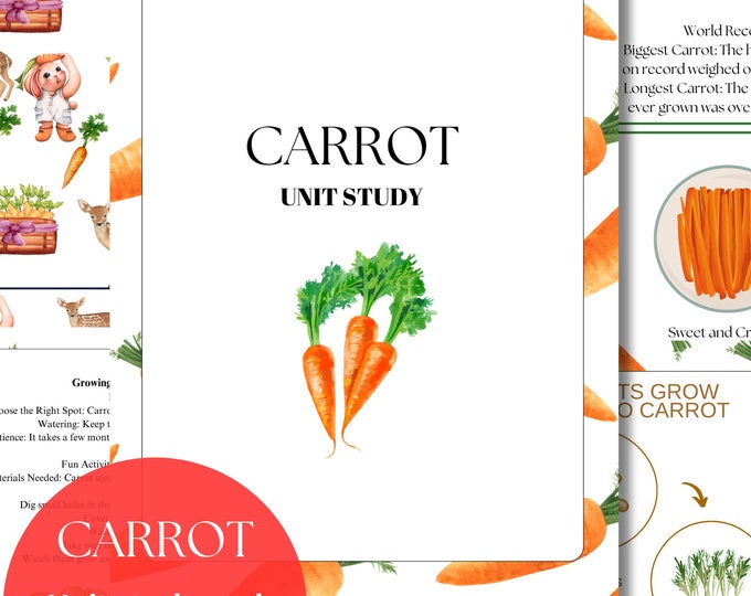 Solar System Flashcards | Montessori Cards | Printable Solar System ...