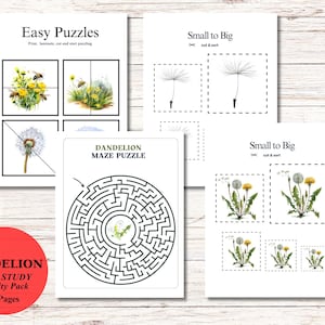 Dandelion Unit Study and Activity Pack, Nature Study, Life Cycle ...