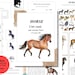 Horse Unit Study, Horse Activities, Horse Homeschool, Horse Anatomy, Horse Puzzle, Horse ...