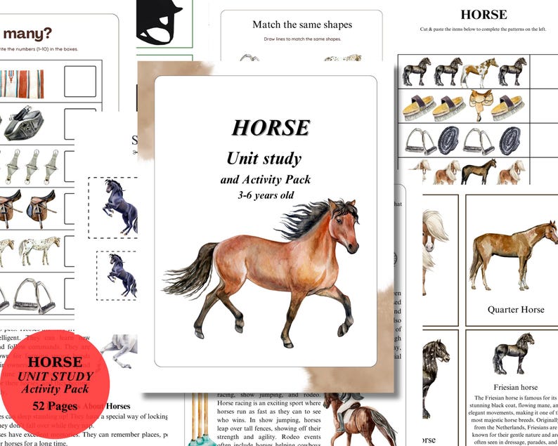 Horse Unit Study, Horse Activities, Horse Homeschool, Horse Anatomy ...