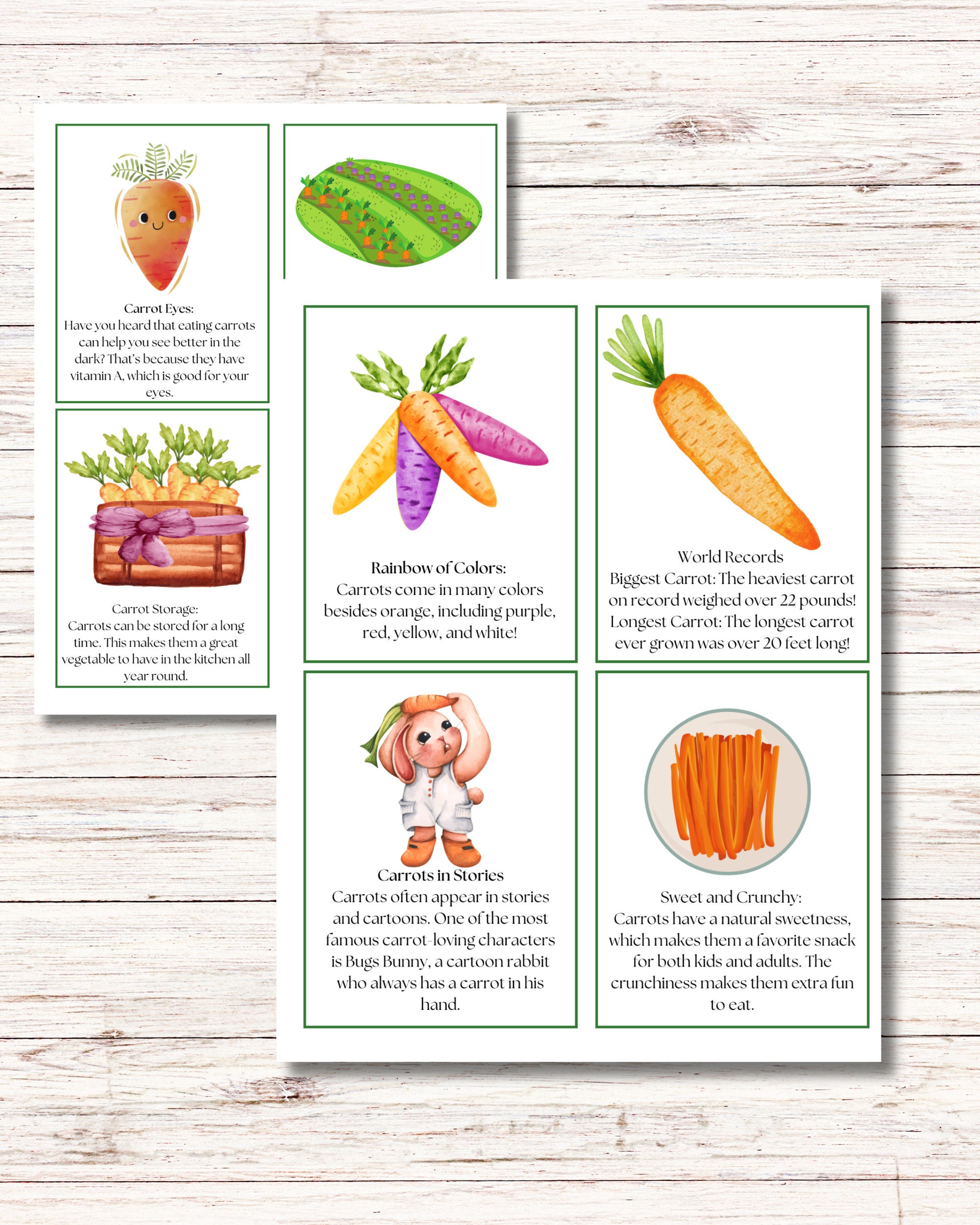 Carrot Unit Study, Vegetable Printable Activity, Nature Home School ...