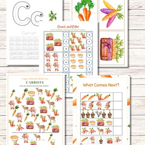 Carrot Unit Study, Vegetable Printable Activity, Nature Home School ...