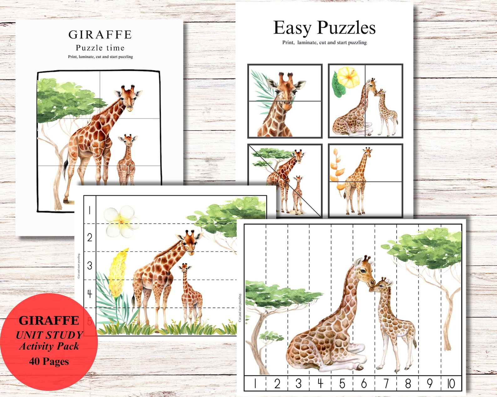 Giraffe Unit Study, Activity Pack, Homeschool Printable (PDF) - Etsy