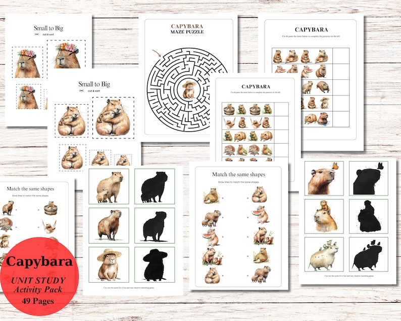 Capybara Unit Study and Activity Pack, Instant Download - Etsy