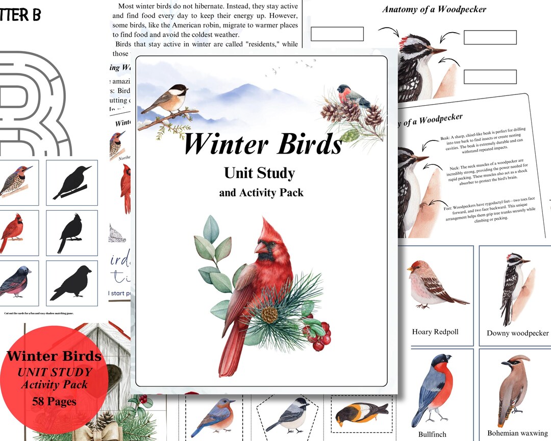Winter Birds Unit Study and Activity Pack, Winter Birds, Snowy Owl ...