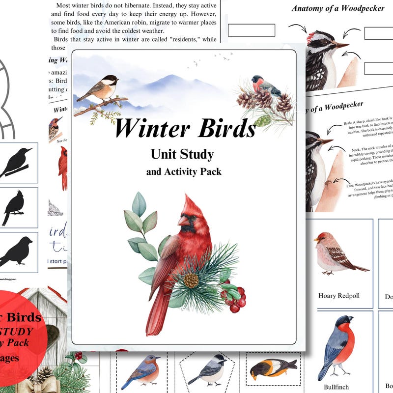 Winter Birds - Etsy