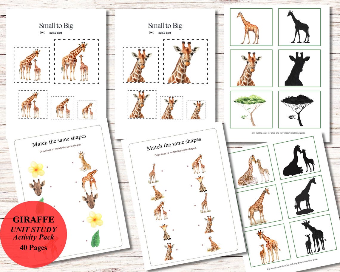 Giraffe Unit Study, Activity Pack, Homeschool Printable (PDF) - Etsy
