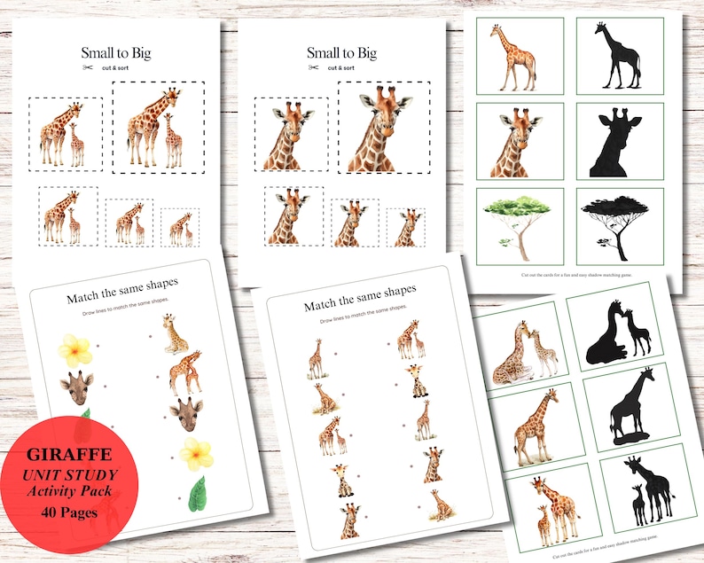 Giraffe Unit Study, Activity Pack, Homeschool Printable (PDF) - Etsy