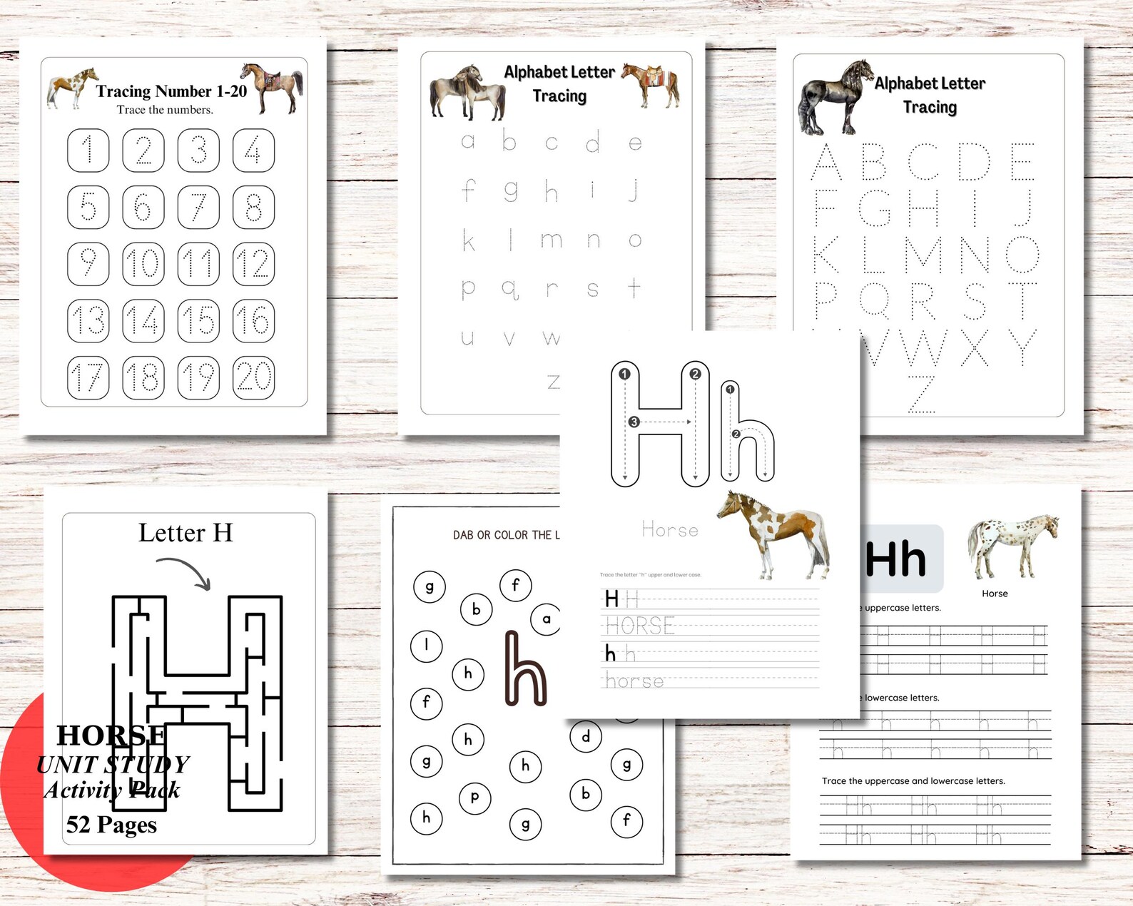 Horse Unit Study, Horse Activities, Horse Homeschool, Horse Anatomy, Horse Puzzle, Horse ...