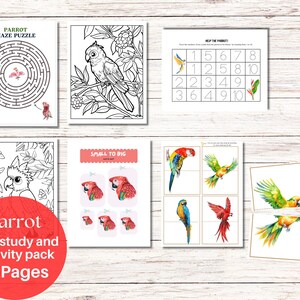 PARROT Unit Study, Anatomy, Handwriting, Learning Materials ...