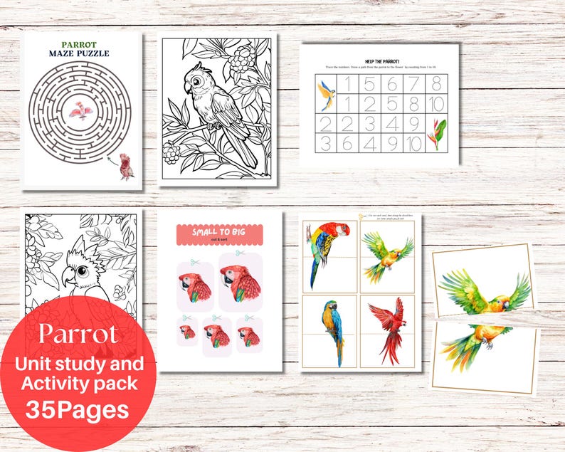 PARROT Unit Study, Anatomy, Handwriting, Learning Materials ...