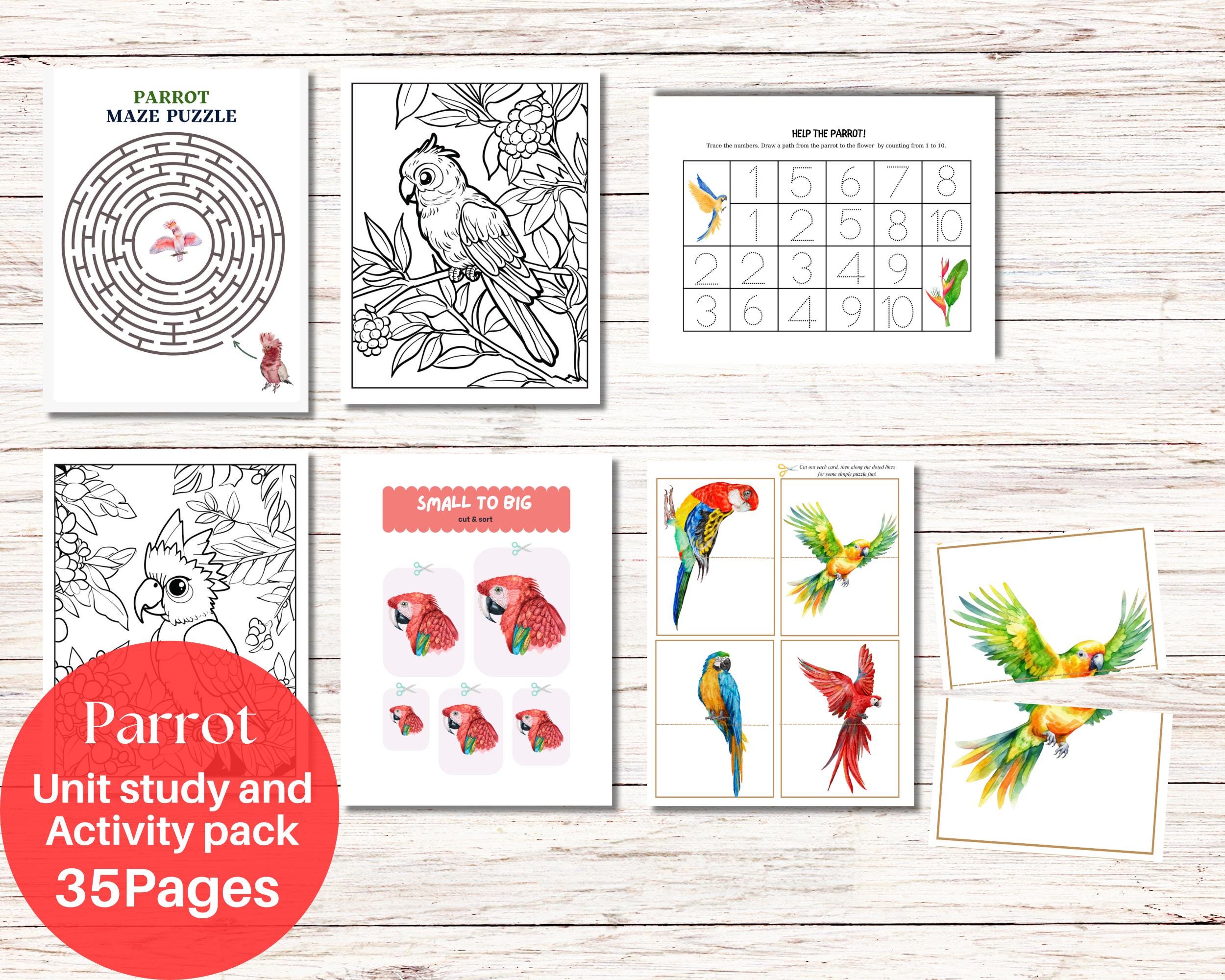 PARROT Unit Study, Anatomy, Handwriting, Learning Materials ...