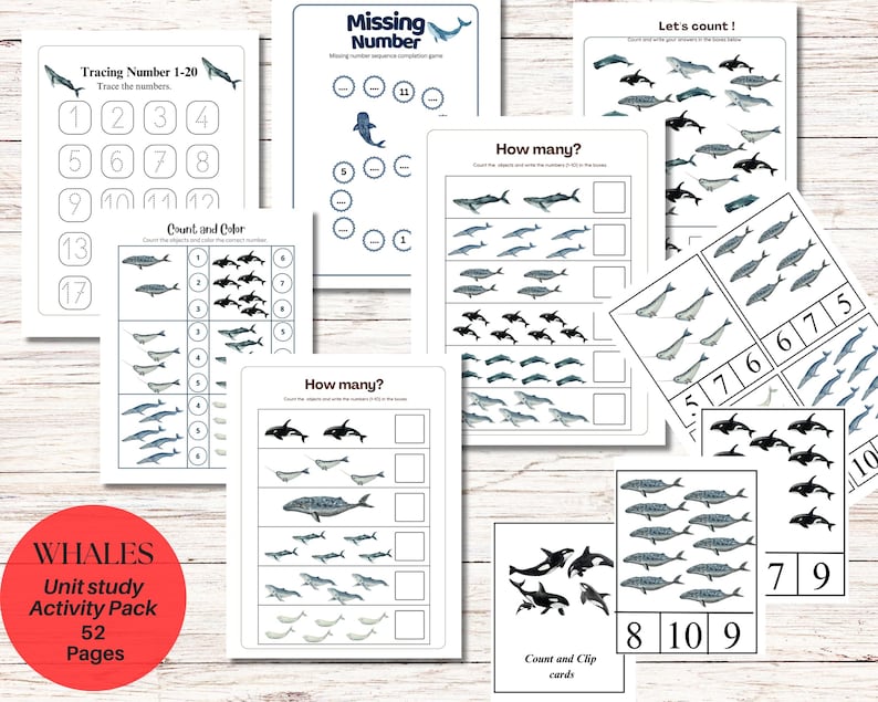 Whales Unit Study, Anatomy, Life Cycle (digital Download) - Etsy