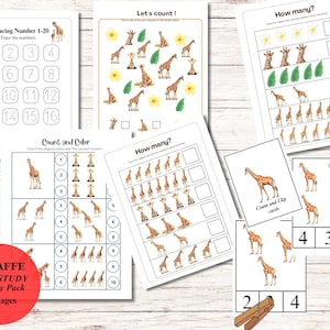 Giraffe Unit Study, Activity Pack, Homeschool Printable (PDF) - Etsy