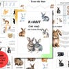 Desert Animals Unit Study, Desert Activities, Nature Journal - Etsy