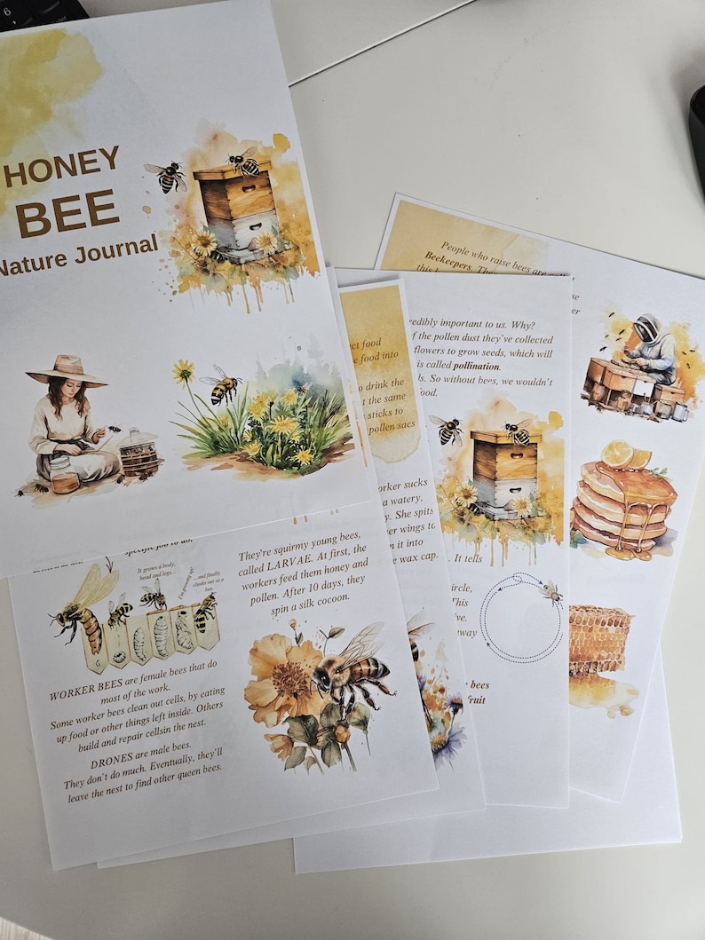 Honey Bee, Nature Journal, Life Cycle, Anatomy, Nature Study, INSTANT ...
