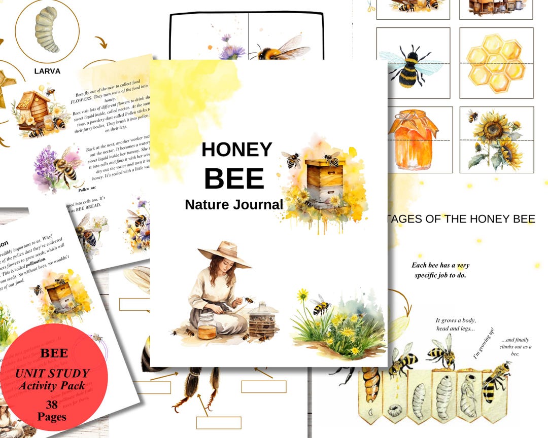 Honey Bee, Nature Journal, Life Cycle, Anatomy, Nature Study, INSTANT ...