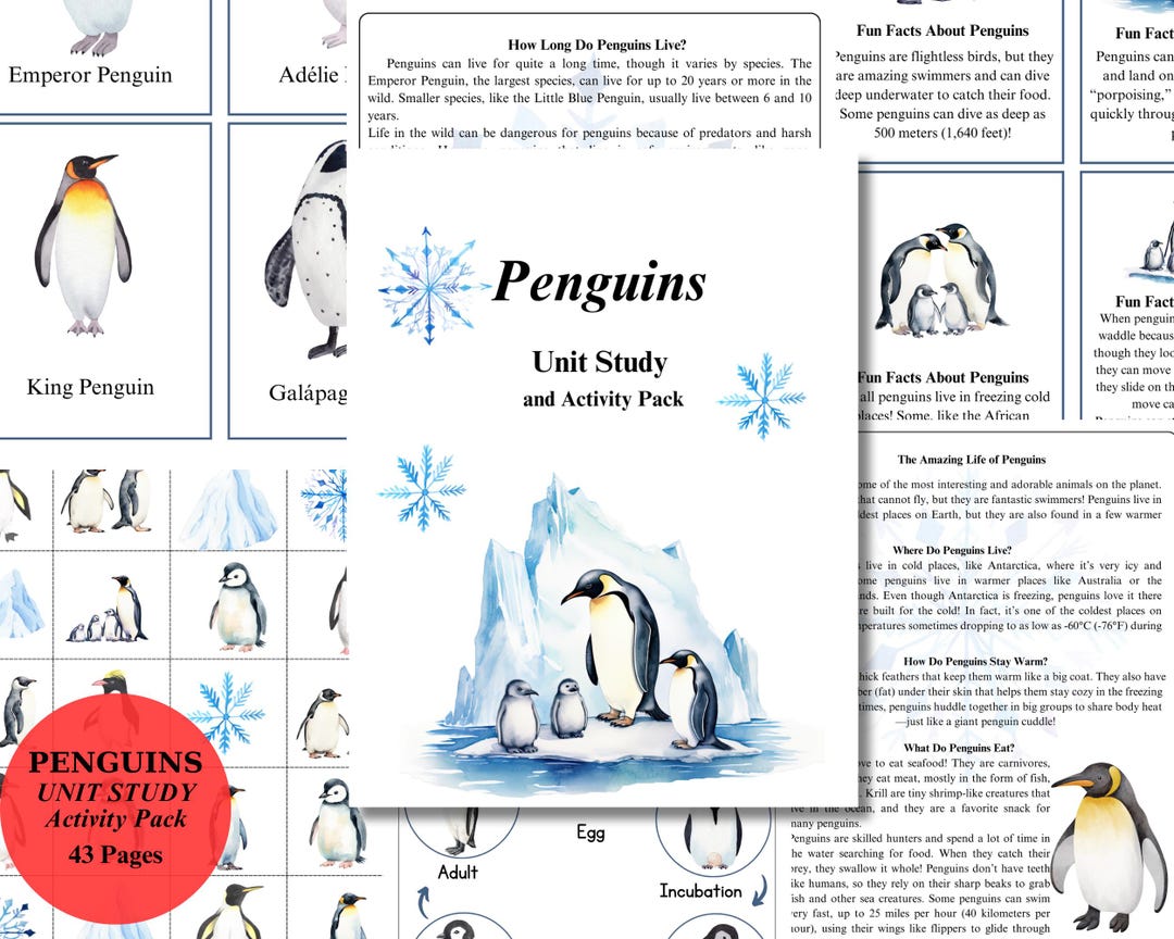 PENGUINS UNIT STUDY, Life Cycle, Winter Homeschool, Home Learning, Pre ...