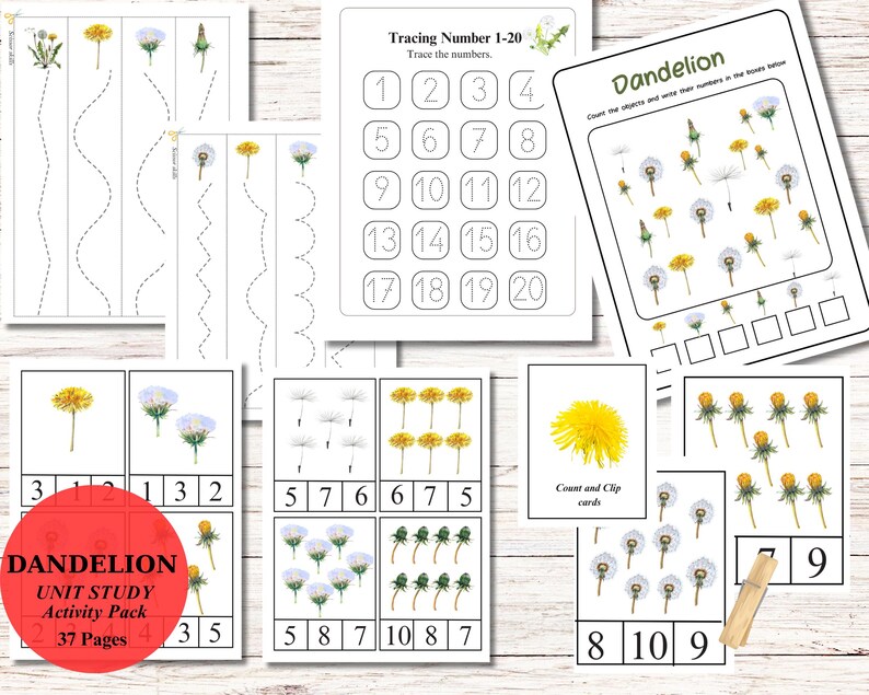 Dandelion Unit Study and Activity Pack, Nature Study, Life Cycle ...