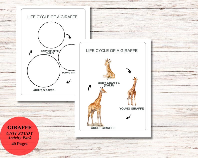 Giraffe Unit Study, Activity Pack, Homeschool Printable (PDF) - Etsy