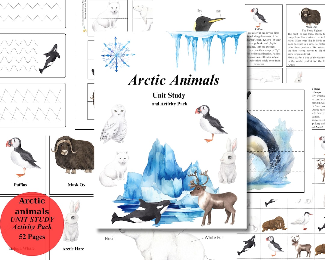 The Arctic Animals Unit Study: Winter Homeschool, Nature Study, Arctic ...
