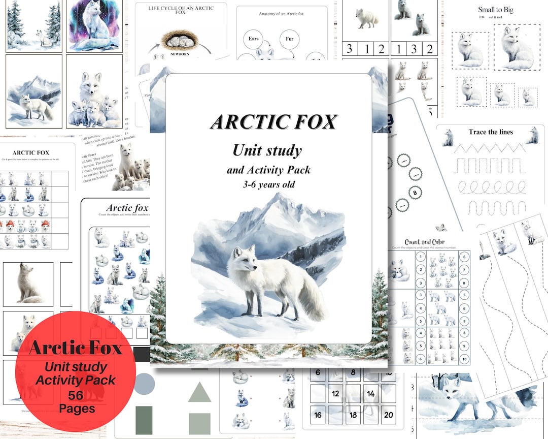 Arctic Fox Unit Study and Activity Pack, Arctic Animals Homeschool, 3 ...