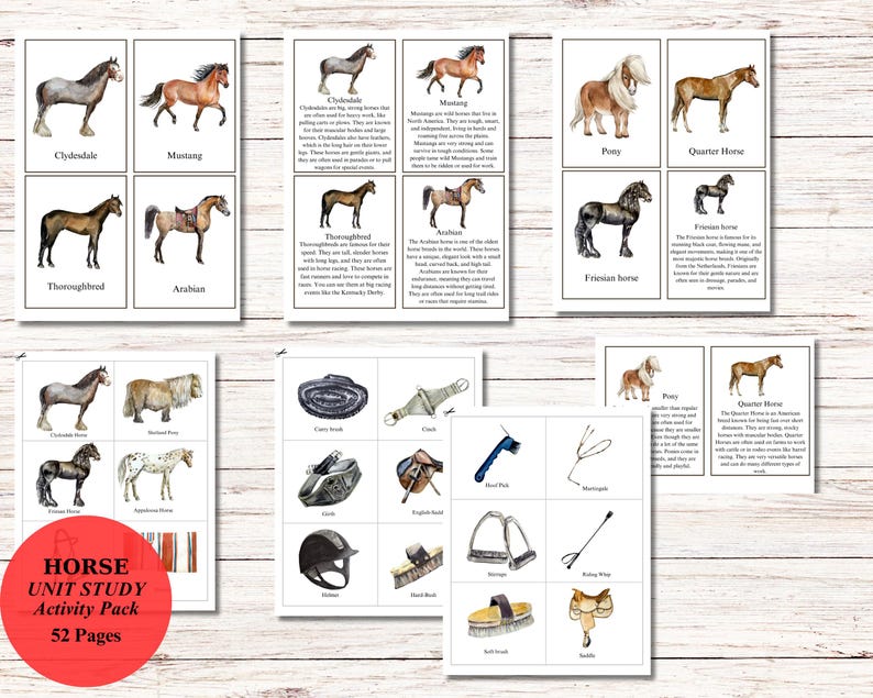 Horse Unit Study, Horse Activities, Horse Homeschool, Horse Anatomy, Horse Puzzle, Horse ...