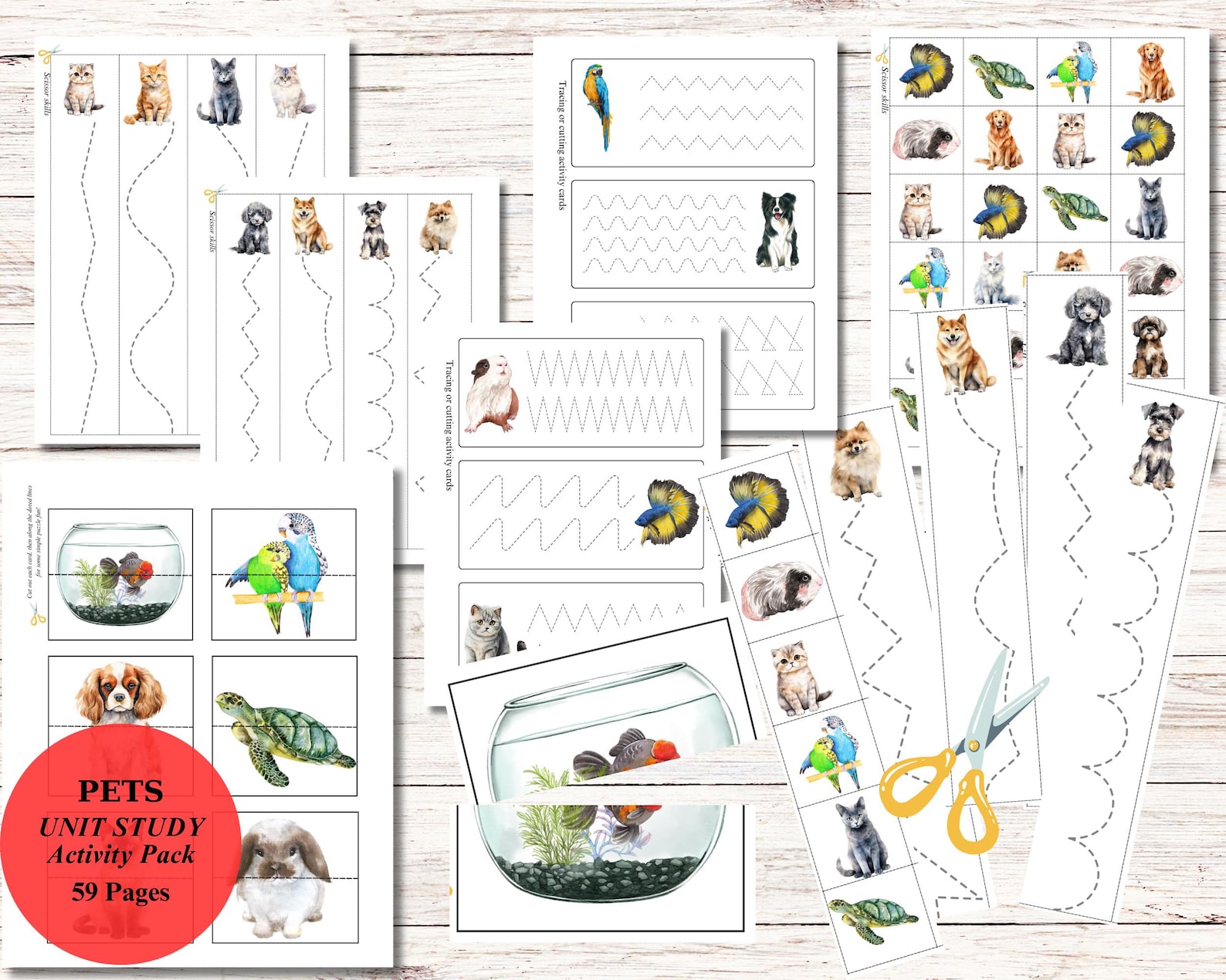 PETS UNIT STUDY and Activity Pack for Children 3-6years Old. Homeschool ...