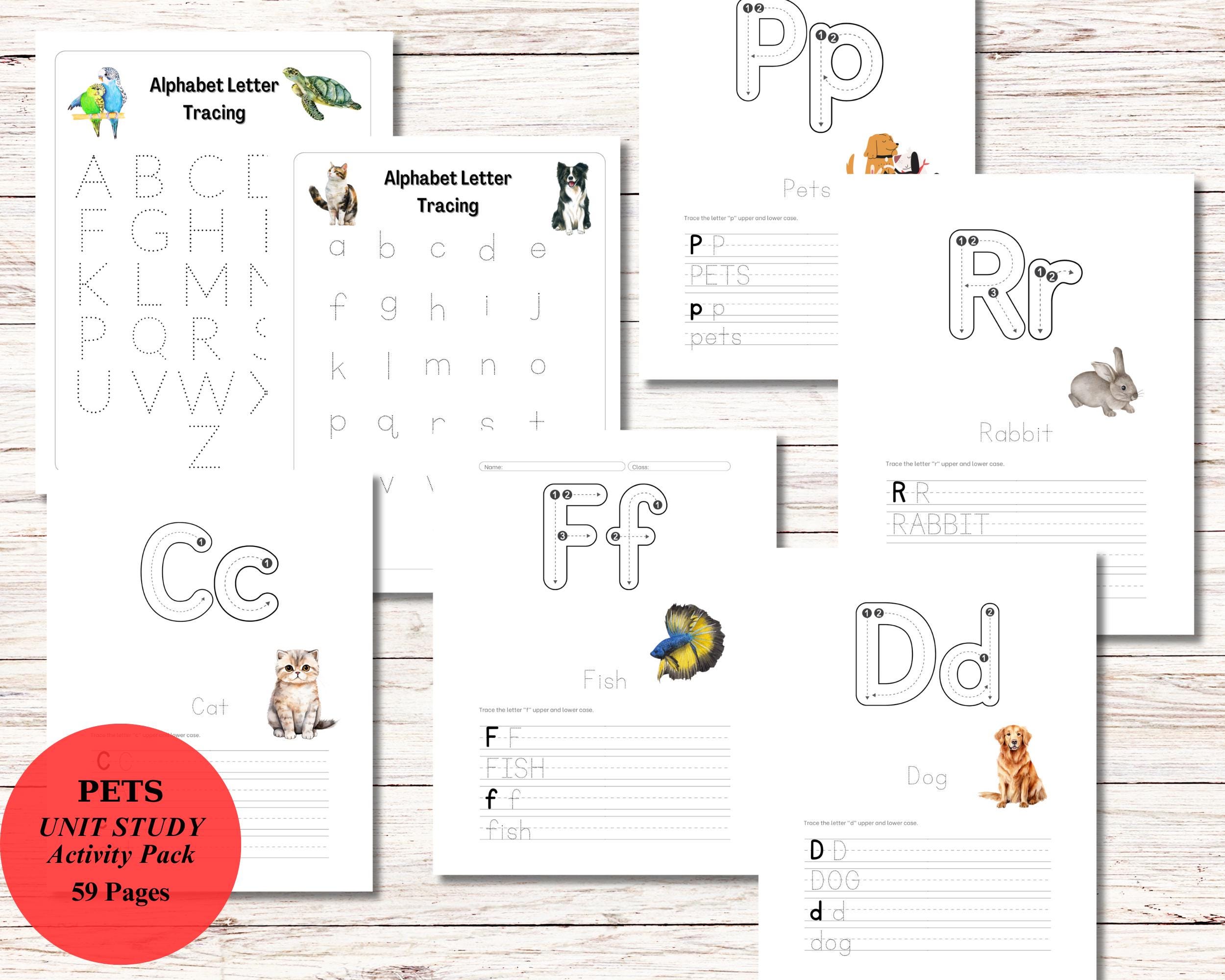 PETS UNIT STUDY and Activity Pack for Children 3-6years Old. Homeschool ...