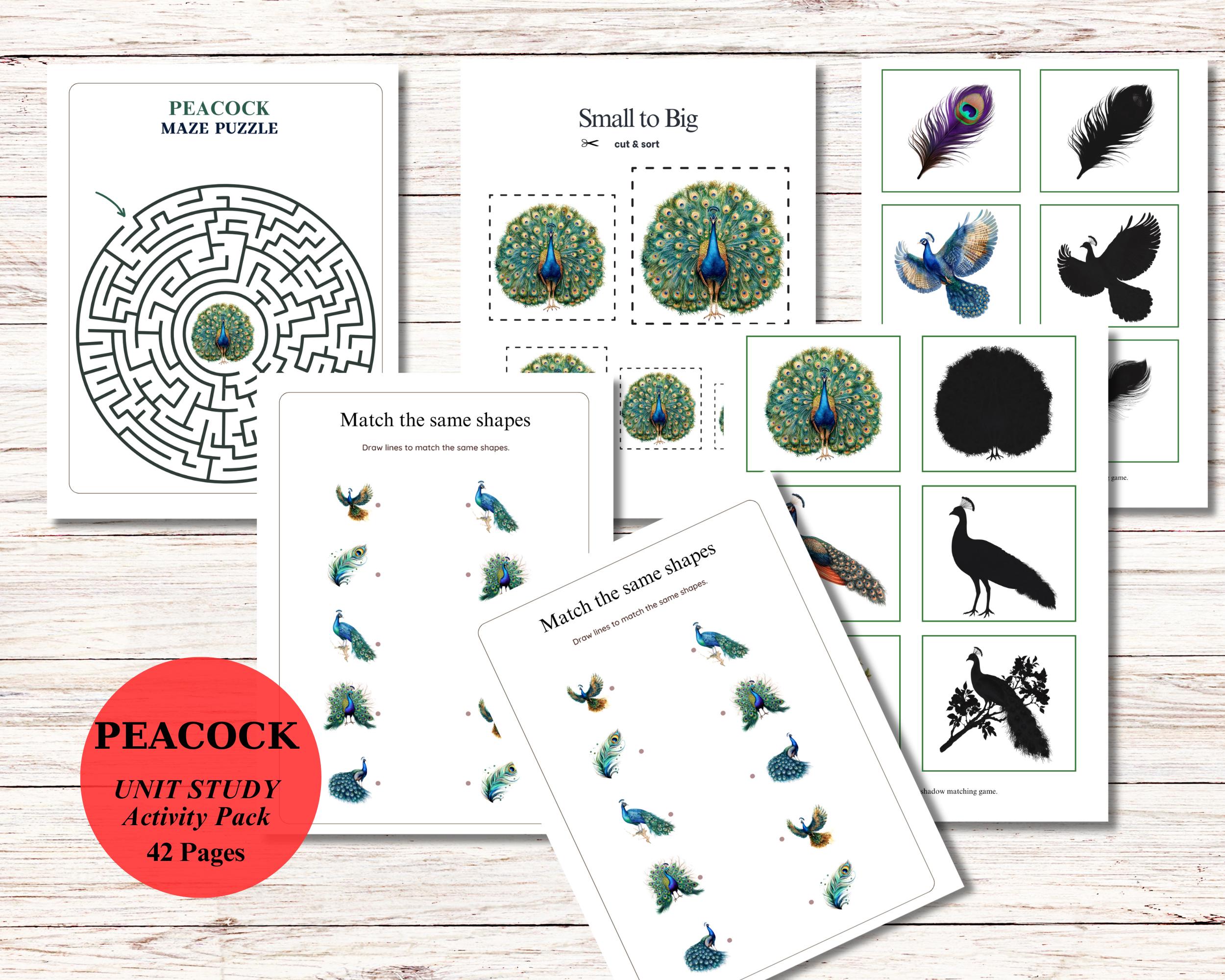 PEACOCK Unit Study and Activity Pack, Kids 3-6 Years Old, Anatomy ...