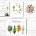 Tree Nature Journal BUNDLE - Unit Study, Life Cycle, Anatomy, Benefits ...