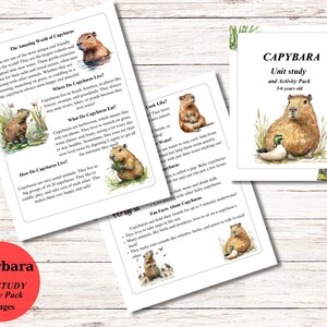 Capybara Unit Study and Activity Pack, Instant Download - Etsy