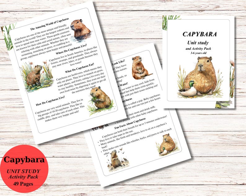 Capybara Unit Study and Activity Pack, Instant Download - Etsy
