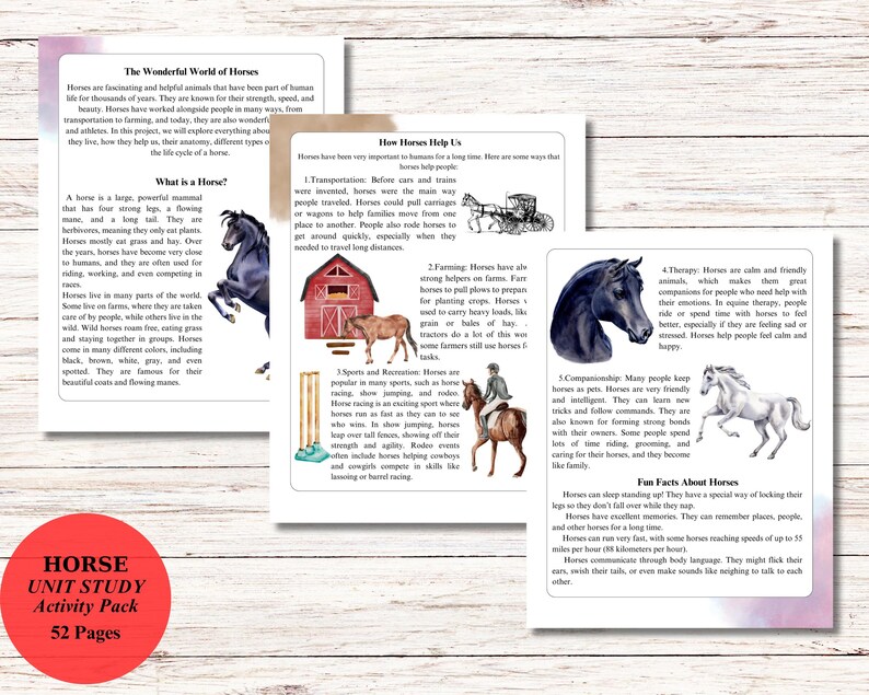 Horse Unit Study, Horse Activities, Horse Homeschool, Horse Anatomy ...