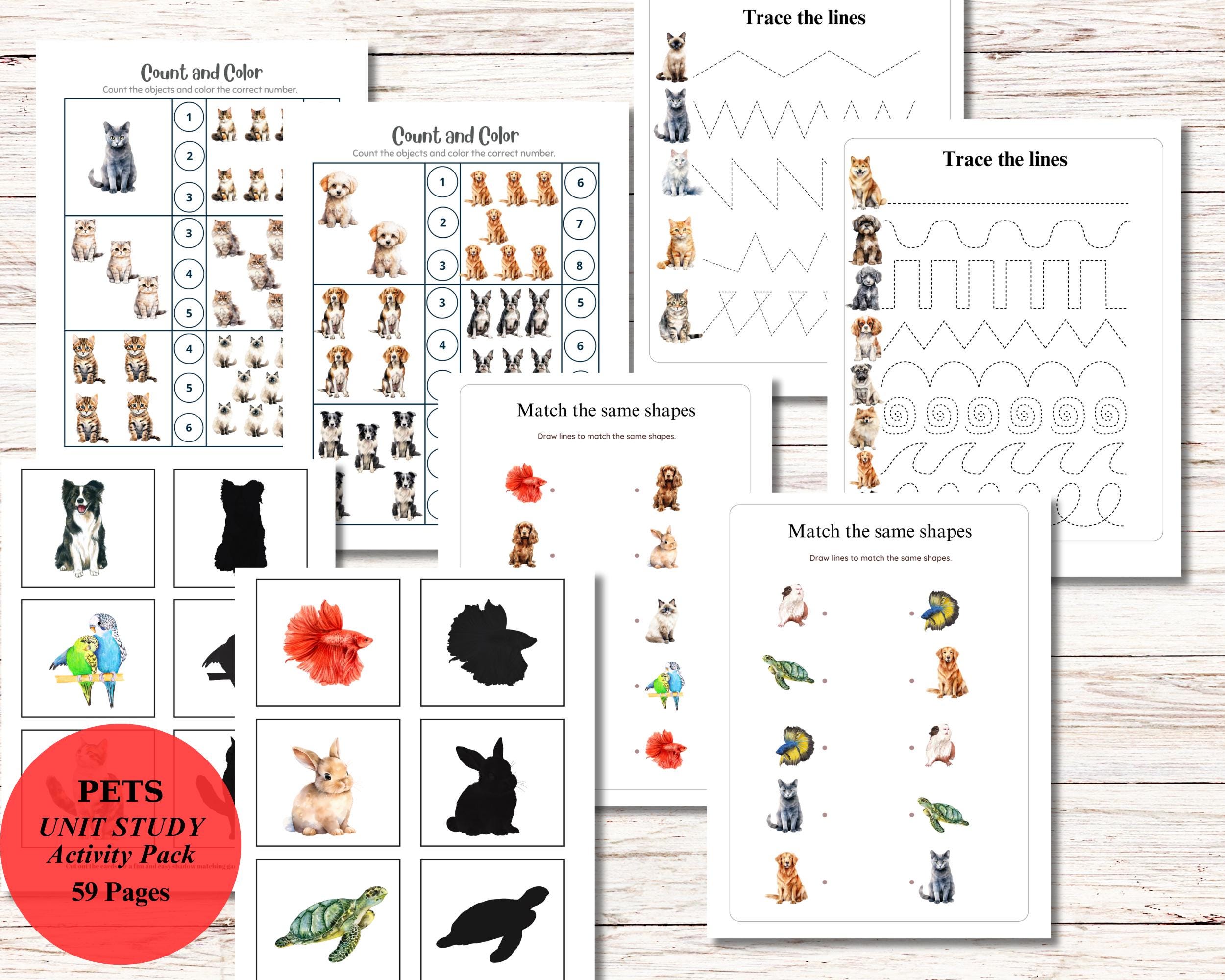 PETS UNIT STUDY and Activity Pack for Children 3-6years Old. Homeschool ...