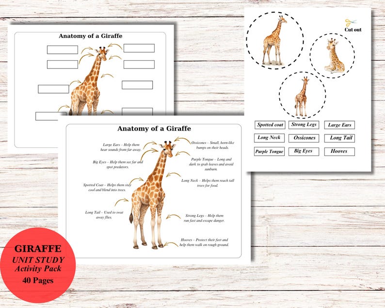 Giraffe Unit Study, Activity Pack, Homeschool Printable (PDF) - Etsy