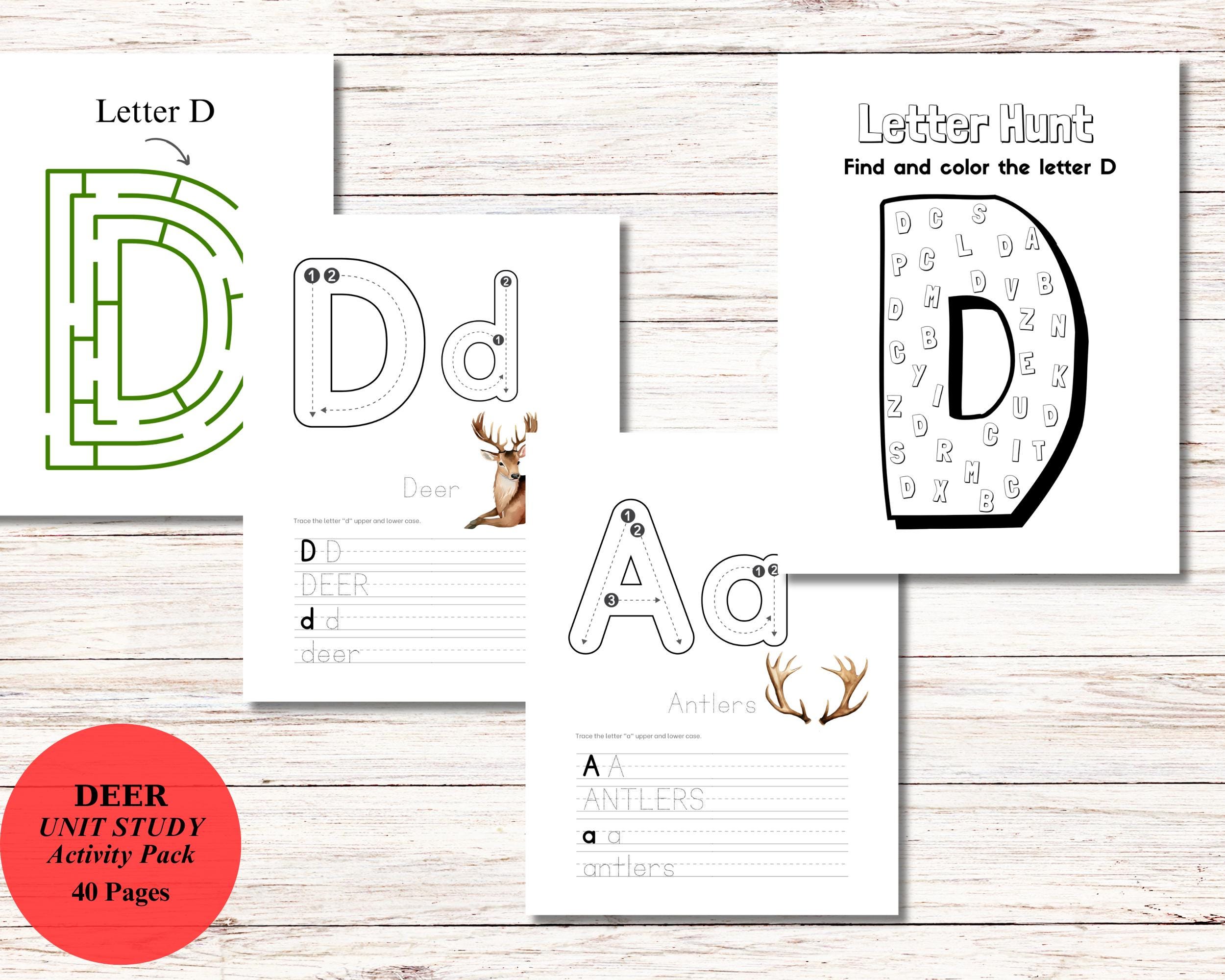 DEER Unit Study, Life Cycle, Anatomy, Deer Activities, Kids- 3-6 Years ...