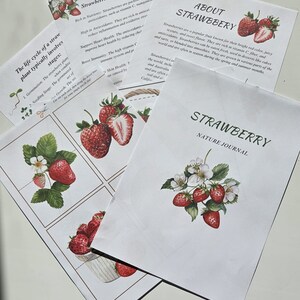 Strawberry Nature Journal, Strawberry Anatomy, Strawberry Lifecycle ...