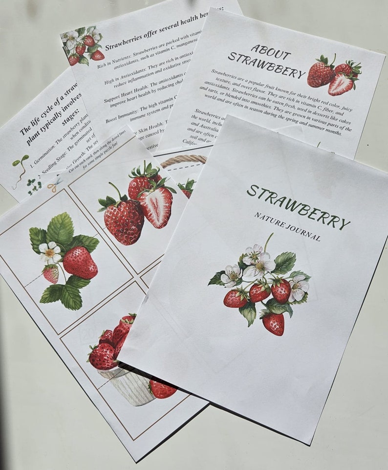 Strawberry Nature Journal, Strawberry Anatomy, Strawberry Lifecycle ...