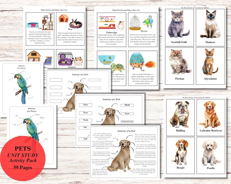 PETS UNIT STUDY and Activity Pack for Children 3-6years Old. Homeschool ...