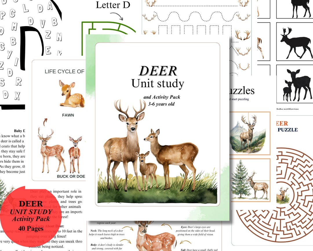 DEER Unit Study, Life Cycle, Anatomy, Deer Activities, Kids- 3-6 Years ...