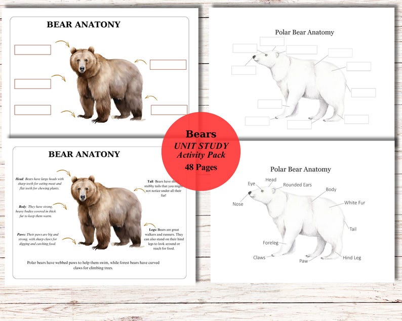 Brown Bear and Polar Bear Unit Study and Activity Pack, for Children 3 ...