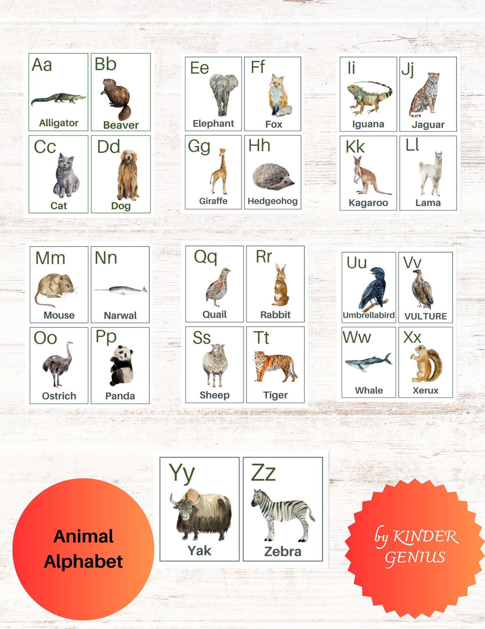 Animals Alphabet Flash Cards Printable, Classroom Decor, Toddlers ...