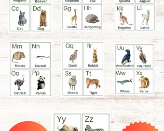 Printable Animal Alphabet Flash Cards, Classroom Decor, Toddlers ...