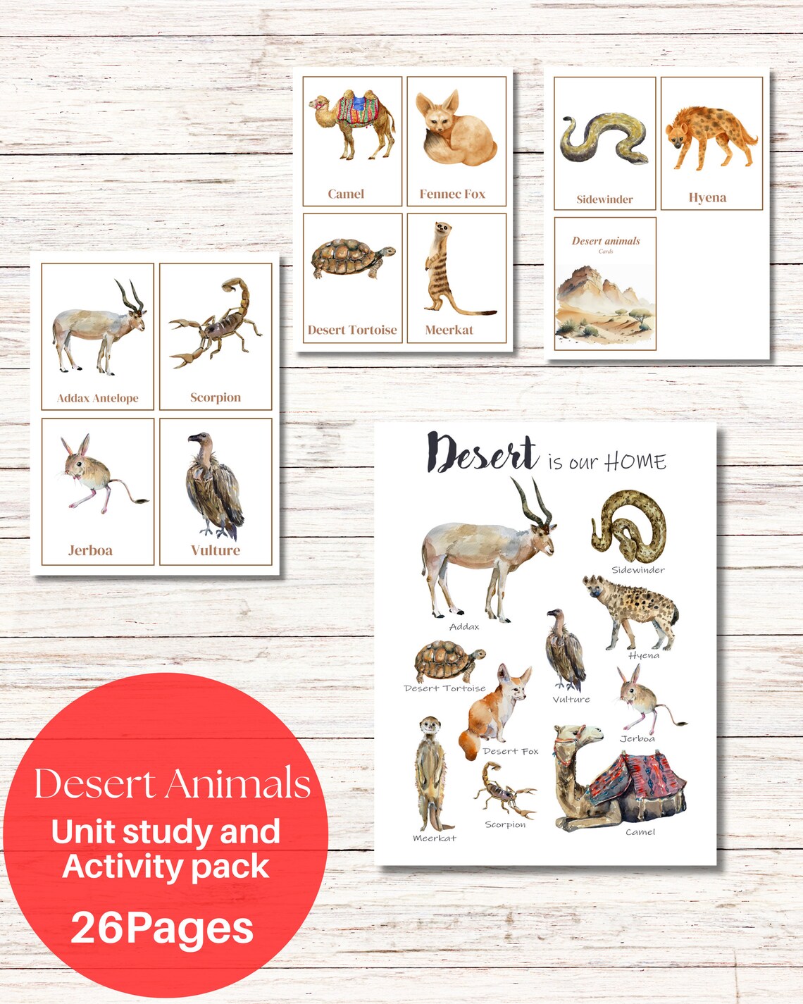 Desert Animals Unit Study, Desert Activities, Nature Journal - Etsy